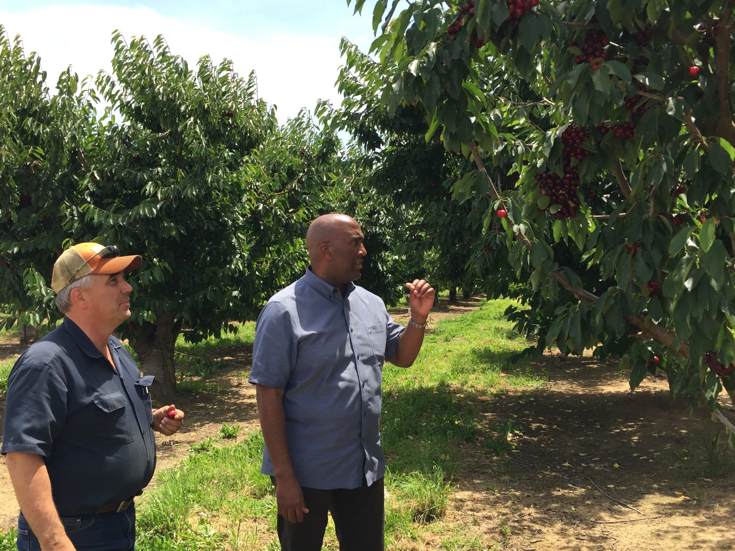 California Assemblyman Jim Cooper (D-Elk Grove) represents the 9th ...