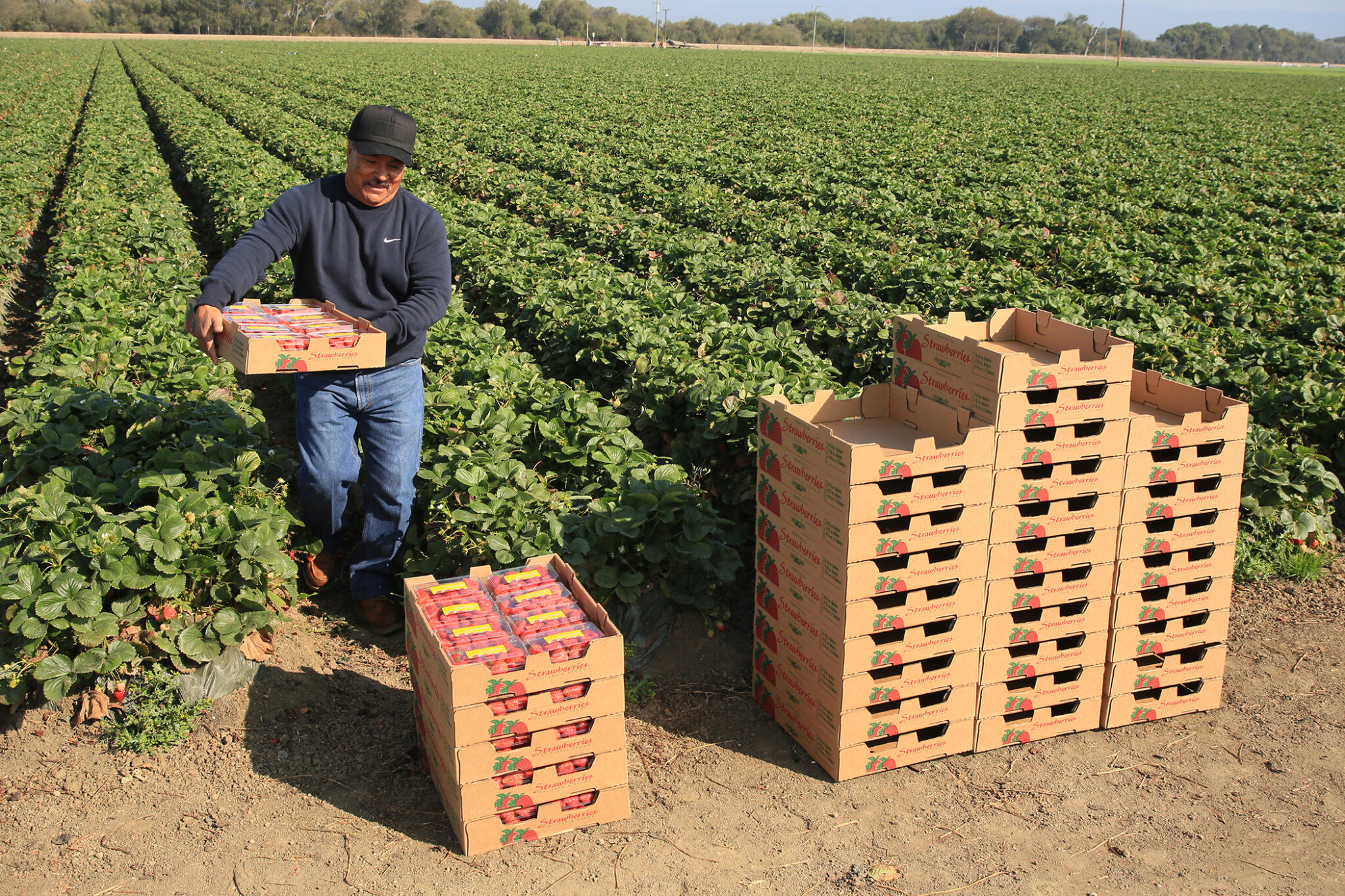 BEYOND PACKAGING: Suite of Services Drives Sambrailo’s Growth - Western ...
