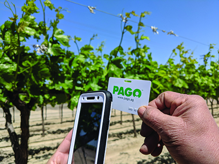 Pago: The Ag Labor Platform - Western Growers Association Western ...