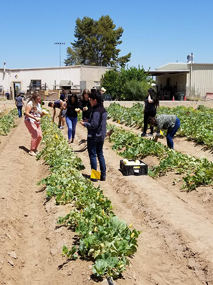 Difficult Year for Food Donations But Need Continues to Rise - Western ...