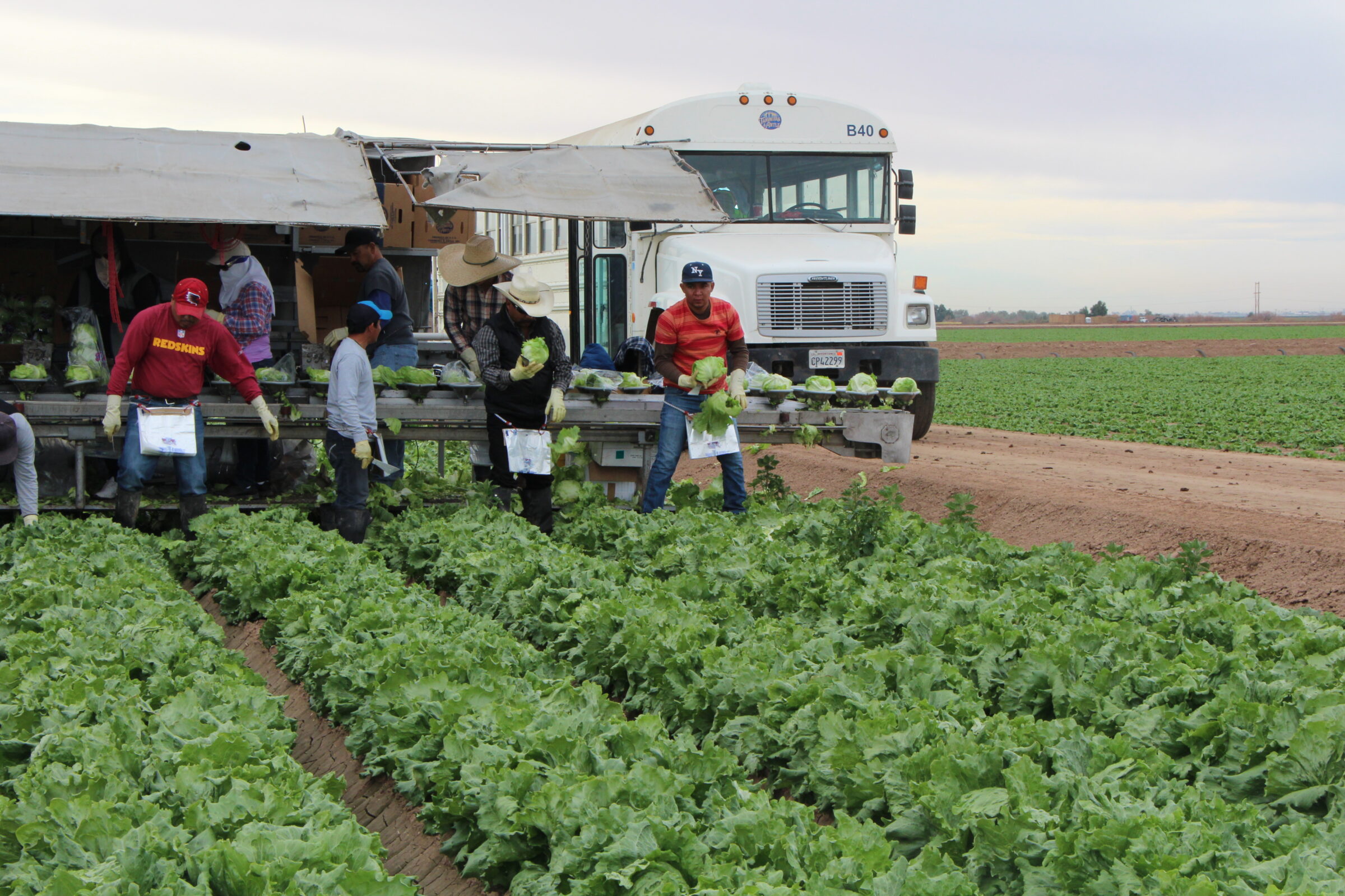 Newsom Vetoes SB 1102 – H-2A Bill - Western Growers Association Western ...