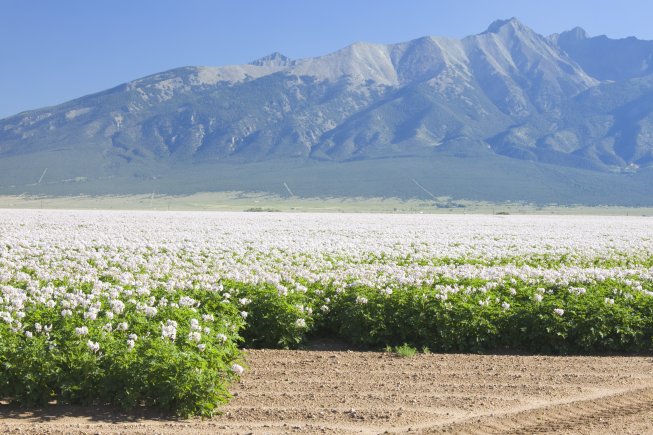 February 18 - Annual Governor's Forum on Colorado Agriculture - Western ...