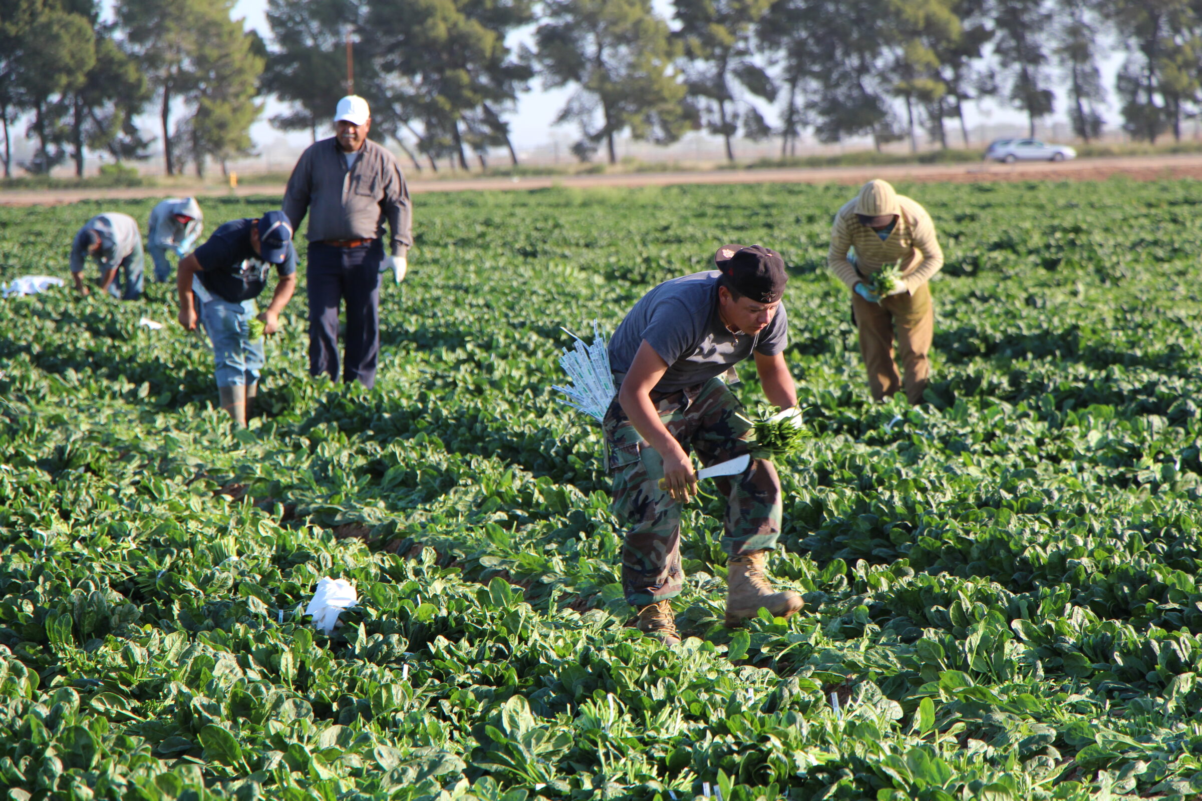 WG Pushes for Permanent Seasonal Workers’ Fix in Affordable Care Act ...