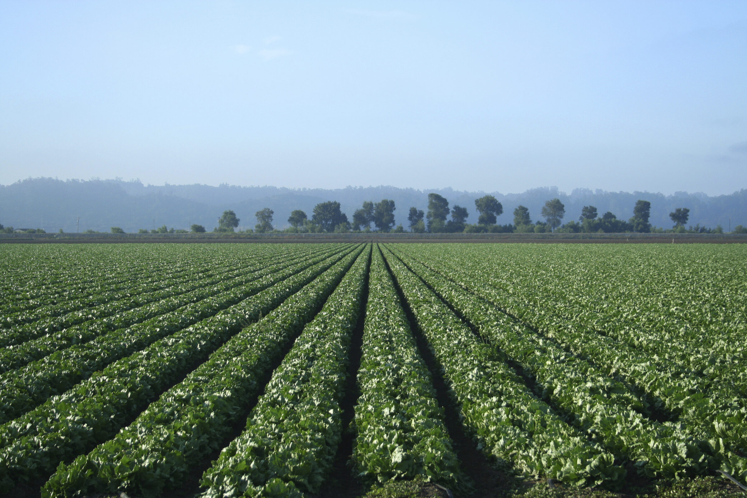 CA Regulators Target Glyphosate; Latest in Series of Actions Targeting ...