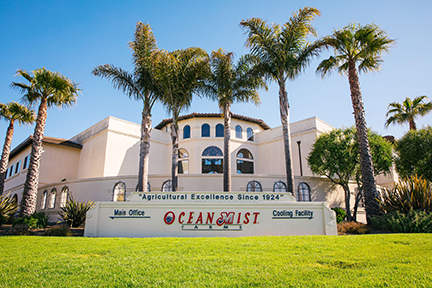California Member Profile: Ocean Mist Farms Focused on the Future ...