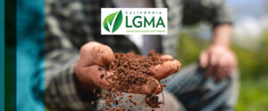 2024 LGMA Amendment Process Update: Priority Setting - Western Growers ...