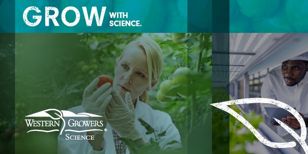 FDA Releases Cyclospora Action Plan - Western Growers Association ...
