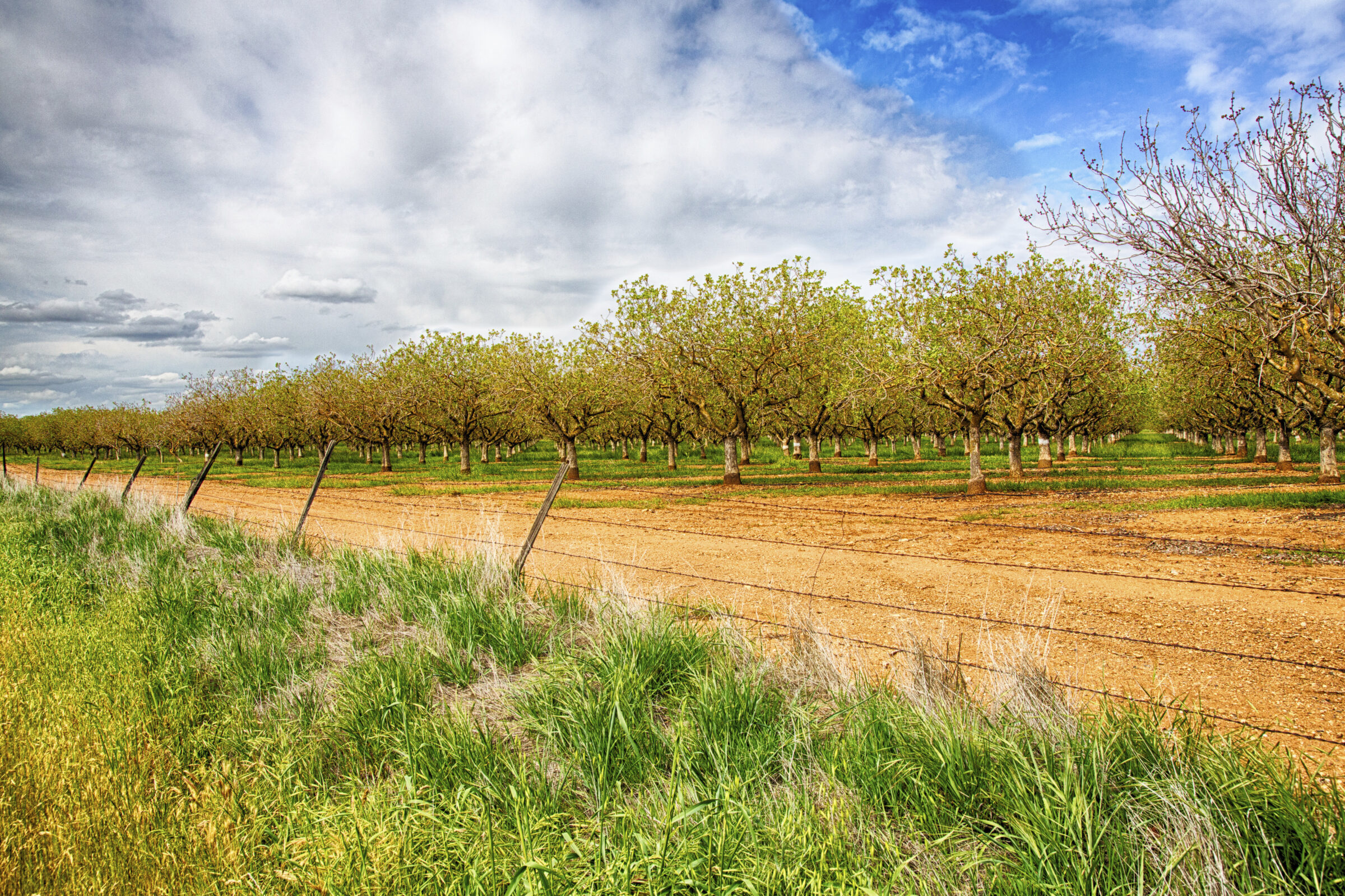 Western Growers Objects to Crop Sustainability Provision in Huffman ...