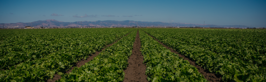 The Larger Meaning of PAGA Reform - Western Growers Association Western ...