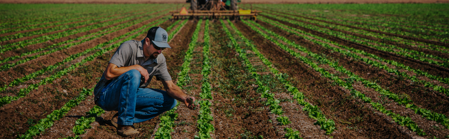 Sustainable Pest Management is Here. What's Next? - Western Growers ...