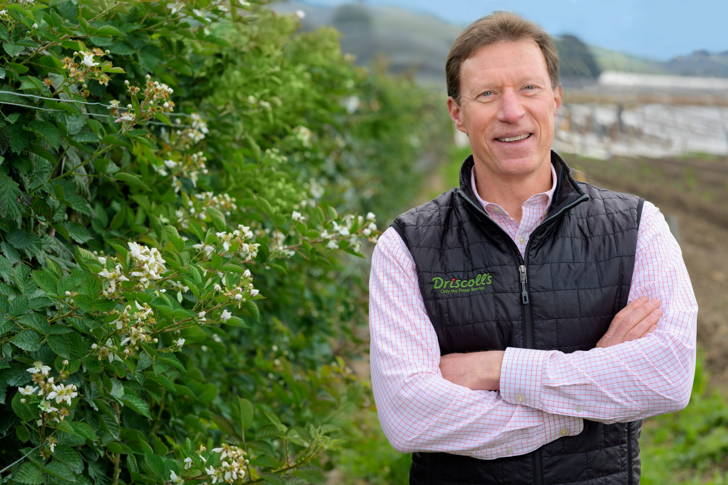 Driscoll’s Senior VP of Global R&D, Scott Komar, to Speak at Salinas ...