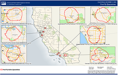 Exotic Fruit Fly Quarantines in California - Western Growers ...