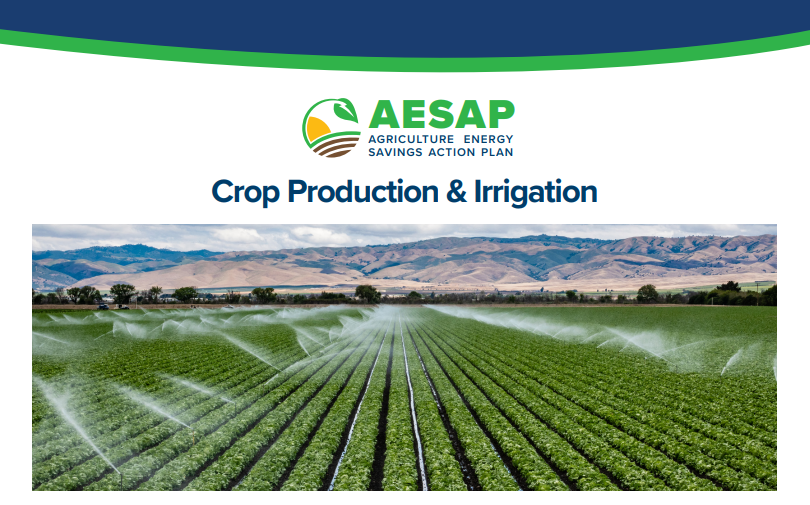 Agriculture Energy Savings Action Plan Services and Incentives ...