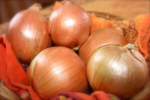 Onion Food Safety FAQs and Resources - Western Growers Association ...