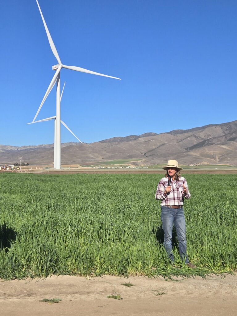 Field Day Recap: Cover Crops and Sustainability at Dole Farms - Western ...